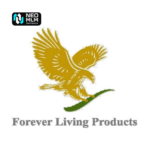MLM Companies in Pakistan: Network Marketing Companies in Pakistan